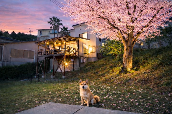 100-year Sakura Onsen Villa | Dog-friendly Atagawa - Izu