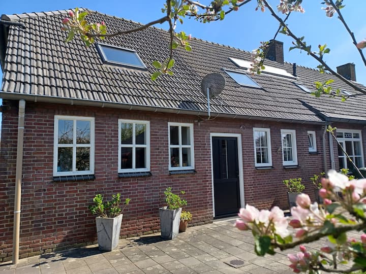 Boomgaard Weilenseind - Tilburg