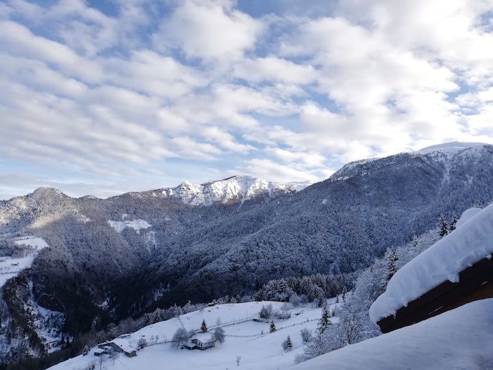 Accogliente Appartamento Con Vista Panoramica - Montecampione