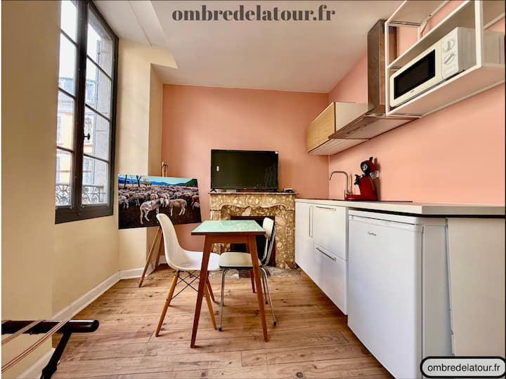 Studio Cosy Rénové, Rue De La Grotte-ext-sanctuair - Lourdes