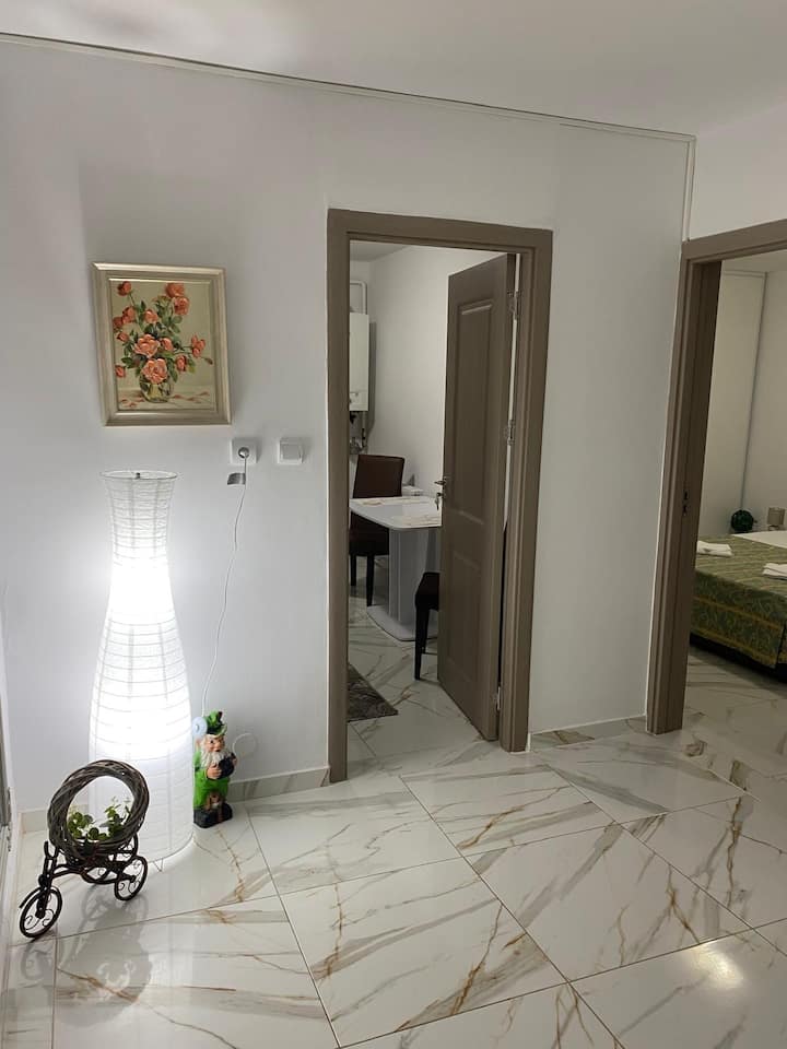 Lemora Apartments - Focșani