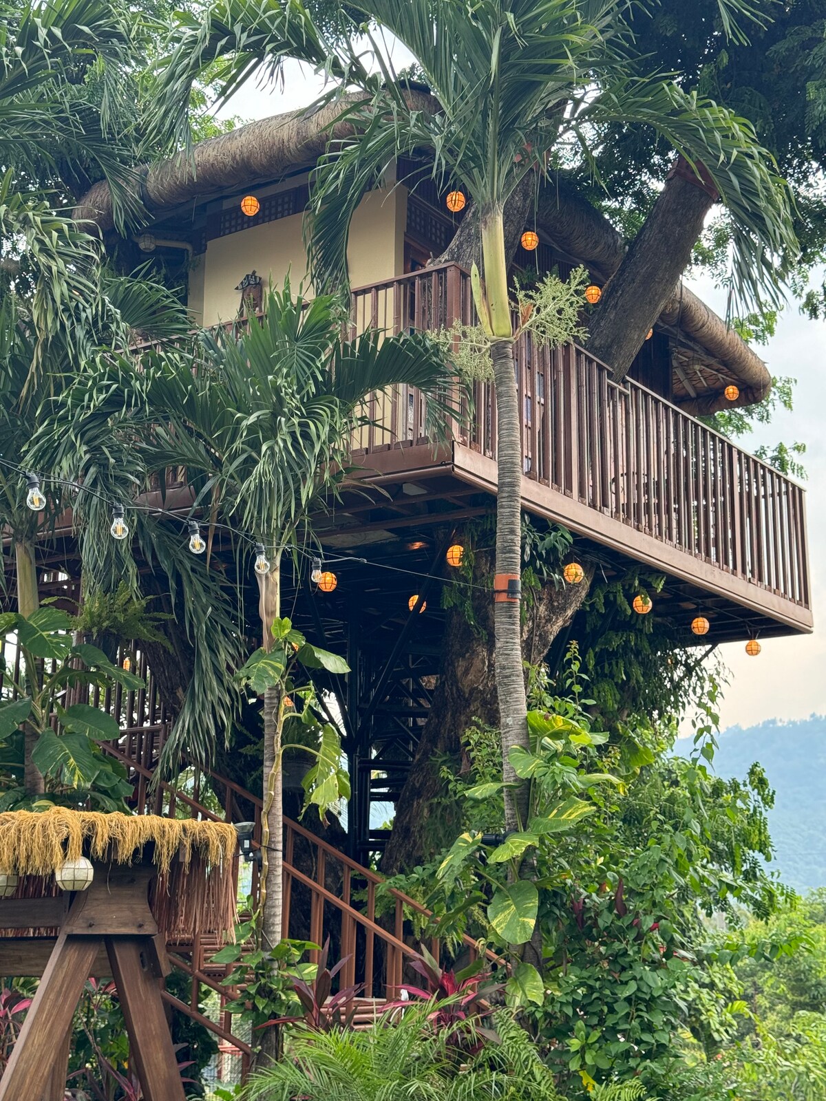 Balai Acacia: Treehouse Mt. Makiling View - Treehouses for Rent in Los ...