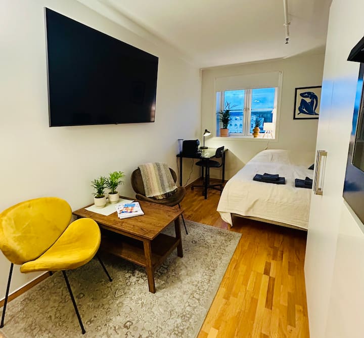 Studio 100m Fra Trondheim Sentralstasjon Free Wifi - Trondheim