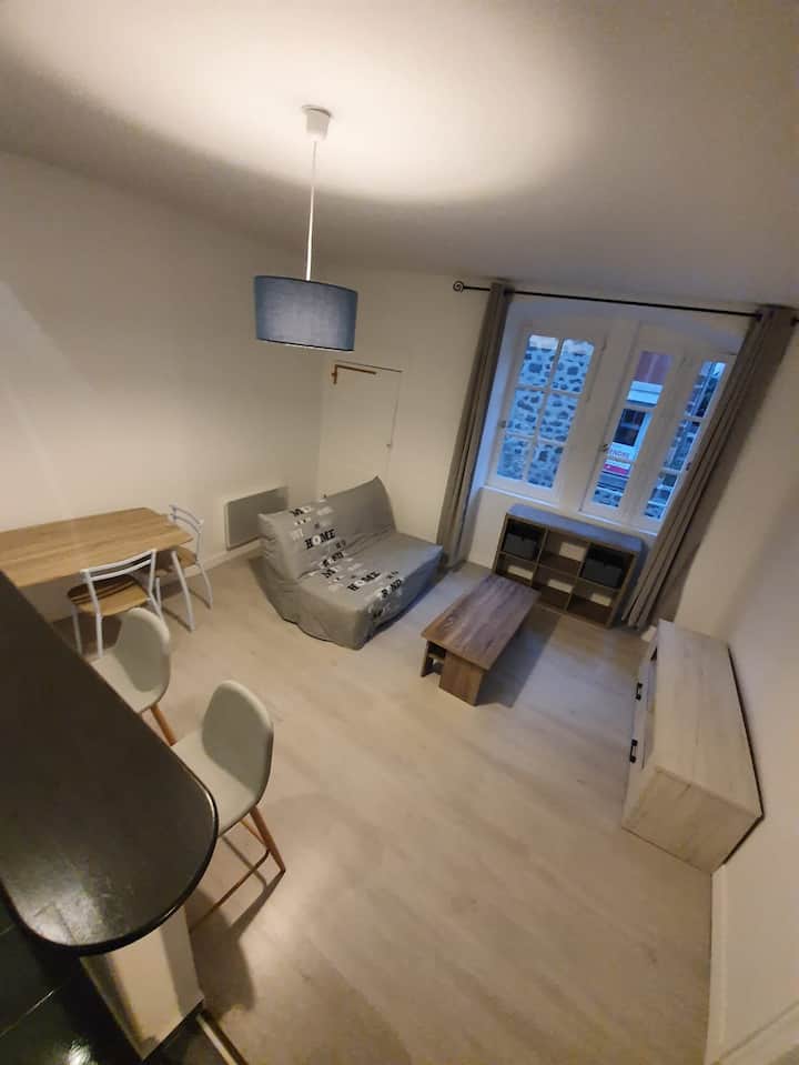 Studio Au Centre Du Puy En Velay - Le Puy-en-Velay