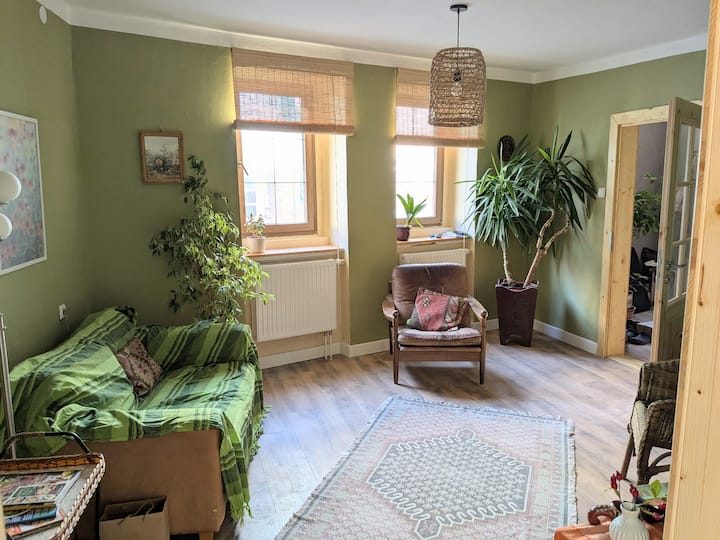 Gemütliches Ferienhaus Mitten In Der Altstadt - Wallhausen