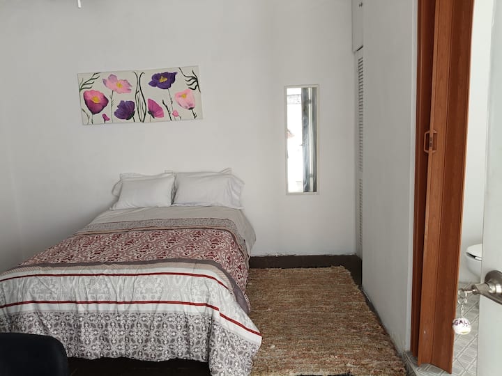 Fifa.  Cintermex 5 Minutos - Guadalupe