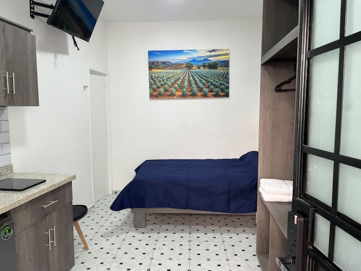 Studio With Private Bathroom And Kitchen In Gdl. - 과달라하라