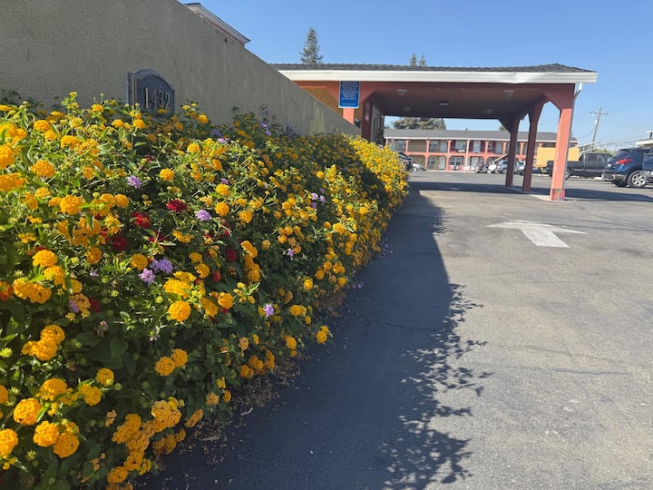 Home Away From Home - Great Value Inn - Room 4 - Sacramento, CA