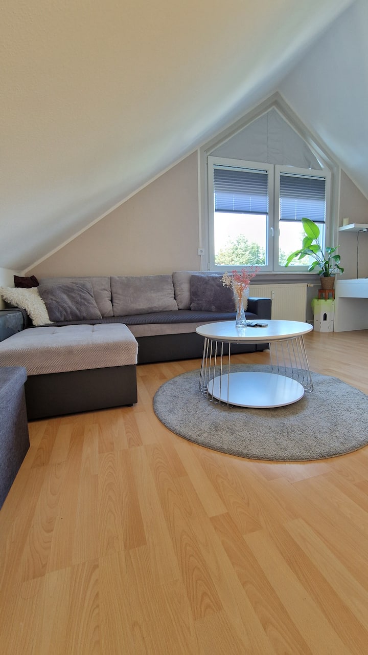 Gemütliches Apartment Nähe Frankfurt Am Main - Maintal