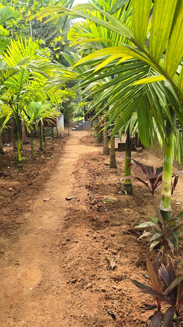 Beachside Escape With Sunset & Private Rooms - Gokarna