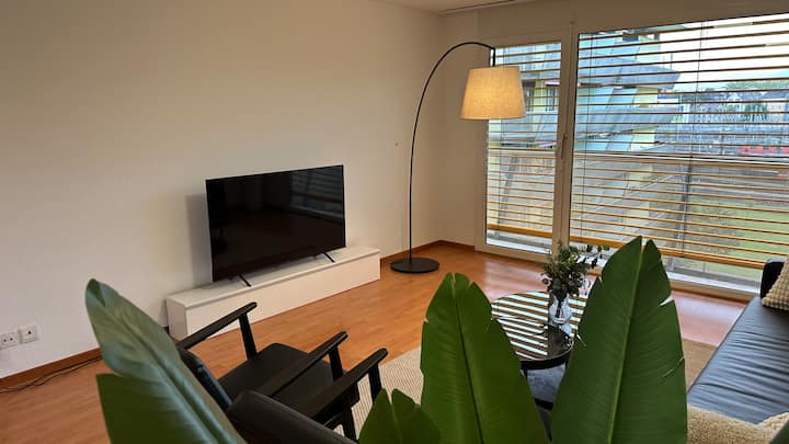 Grosse 51/2 Zimmer Wohnung Mit Lift Und Balkon N7 - Zürich