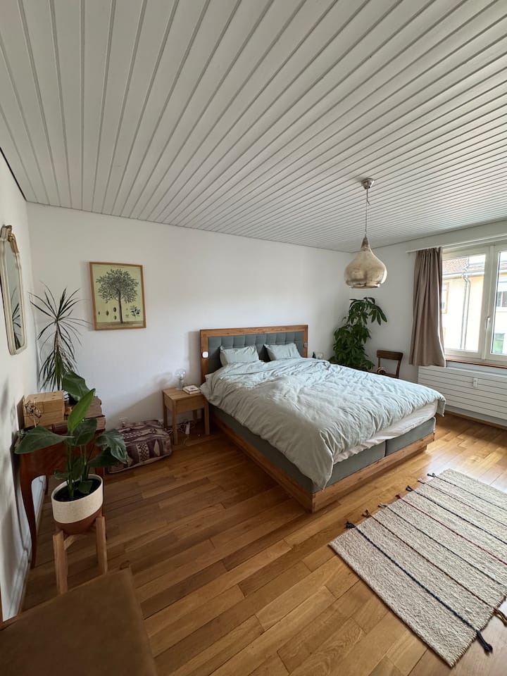 Grosse, Gemütliche Wohnung Im Basel Jan-märz 2026 - 