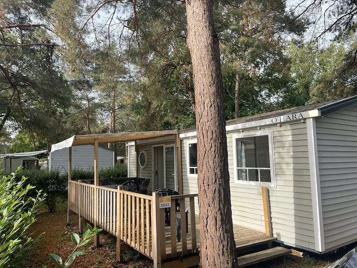 Mobilhome Dans La Douceur Des Sous Bois - Vendée