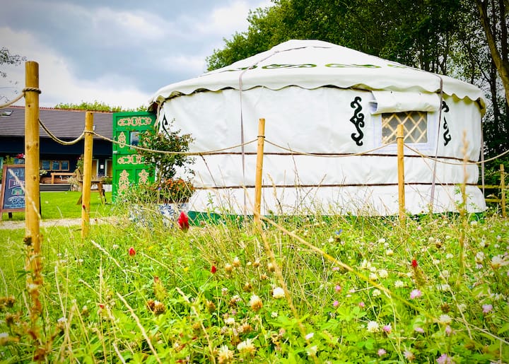Our Original Mongolian Yurt - Melton Mowbray