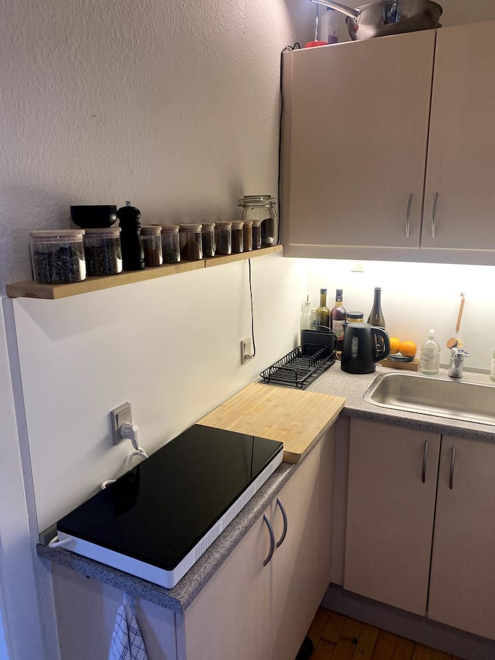 Mini Oase (Lejlighed Til 1-2 Pers.) ÅRhus - Aarhus