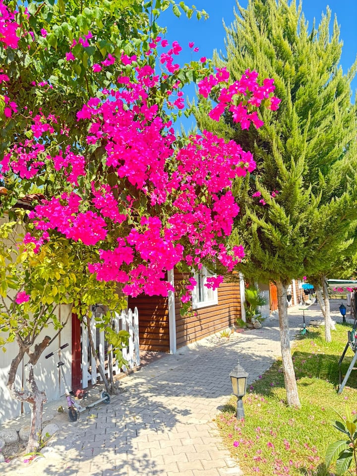 Ekonomık 1+1 Ev - Çıralı
