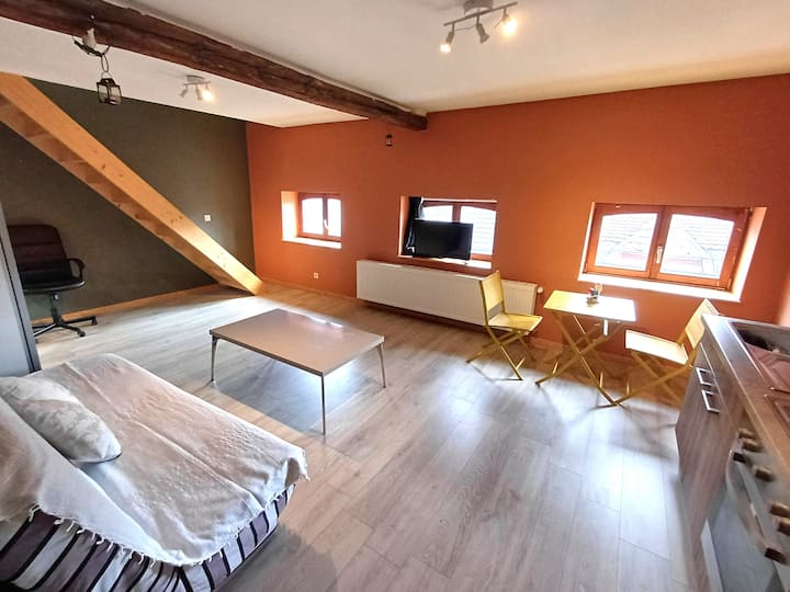 Charmant Studio Duplex Dans Une Maison De Maître - Sambreville