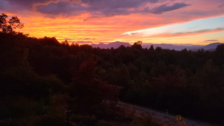 Mountain Escape:stay On 9 Acres On Top Of Mountain - Lake Lure, NC