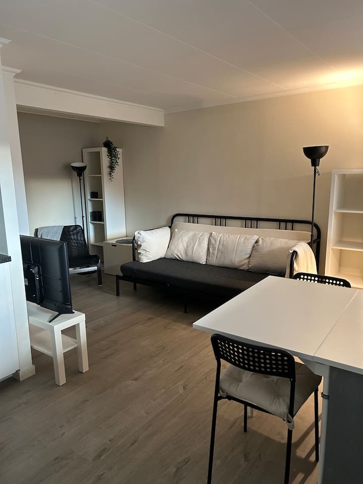 Lys Sokkelleilighet M/ Uteplass Nær Sentrum Og Hvl - Bergen