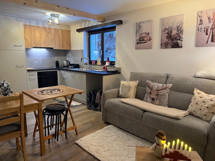 Appartement 2.5 Pièces. 1 à 6 Personnes. Porte 5. - Saas-Fee