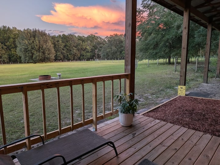 Tiny Home On A Forested Paradise, Daysi Barn. - Florida