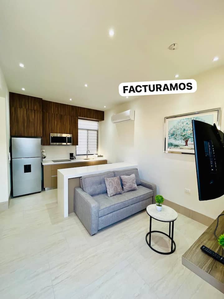 Departamento Moderno, Funcional Y Equipado - サルティヨ