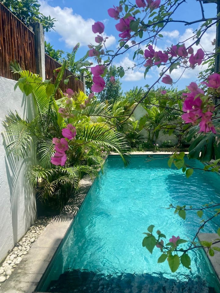 Villa Sawah• Rice-field View• Private Pool •Canggu - Bali