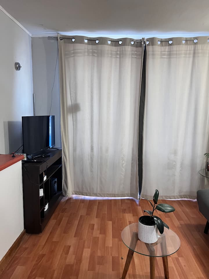 Departamento Huasco Para Conocer Desierto Florido - Huasco