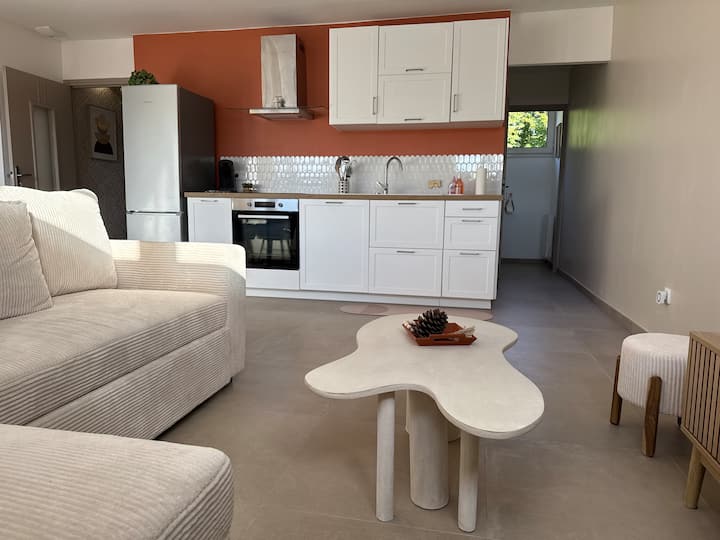 Appartement Fonctionnel:
Chambre & Bureau - Amnéville
