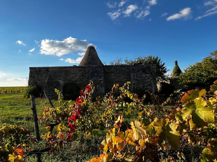 Domaine Des Moulins De Montreuil - Montreuil-Bellay