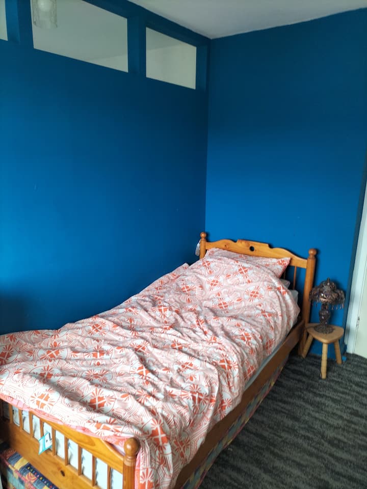 Twin Room, Partly Divided For Privacy.warm Welcome - Totnes