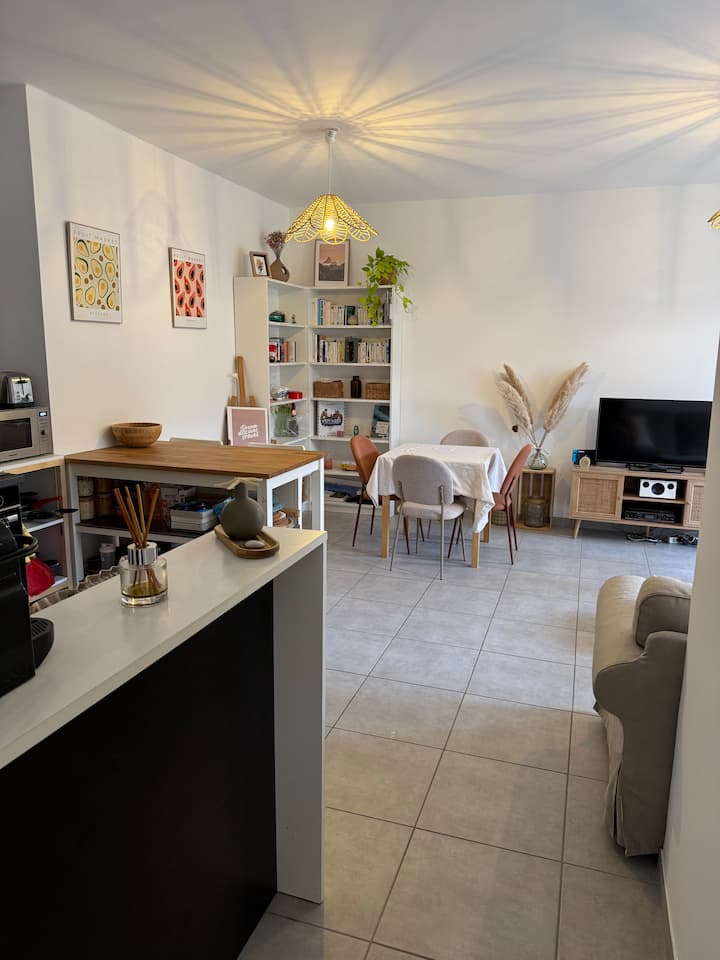 Appartement Cosy Beaujolais - Villefranche-sur-Saône