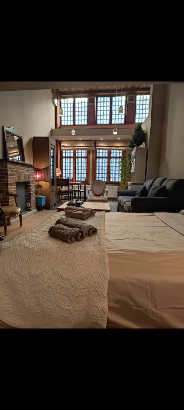 Historical Suite Antwerp - Anvers