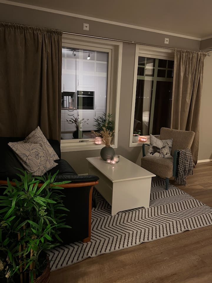 Liten Og Koselig Leilighet - Alta