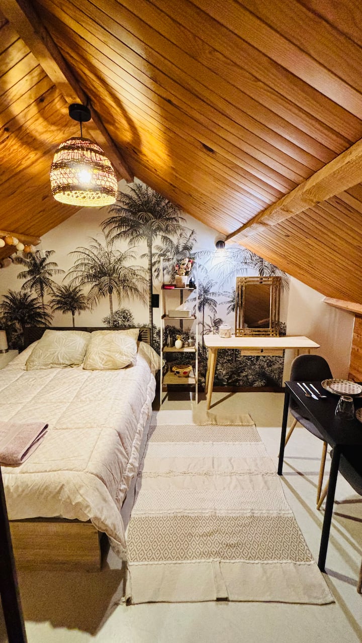 Chambre Cosy Avec Entrée Privée + Parking - Gerzat