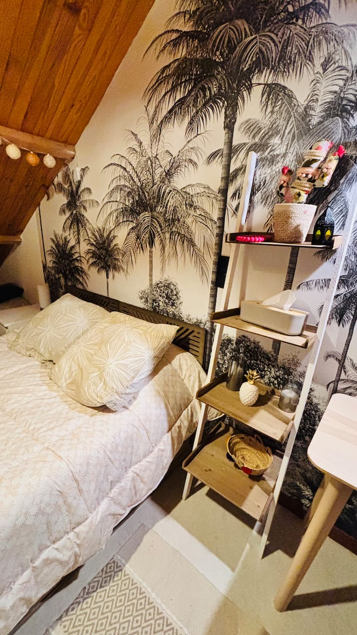 Chambre Cosy Avec Entrée Privée + Parking - Clermont-Ferrand