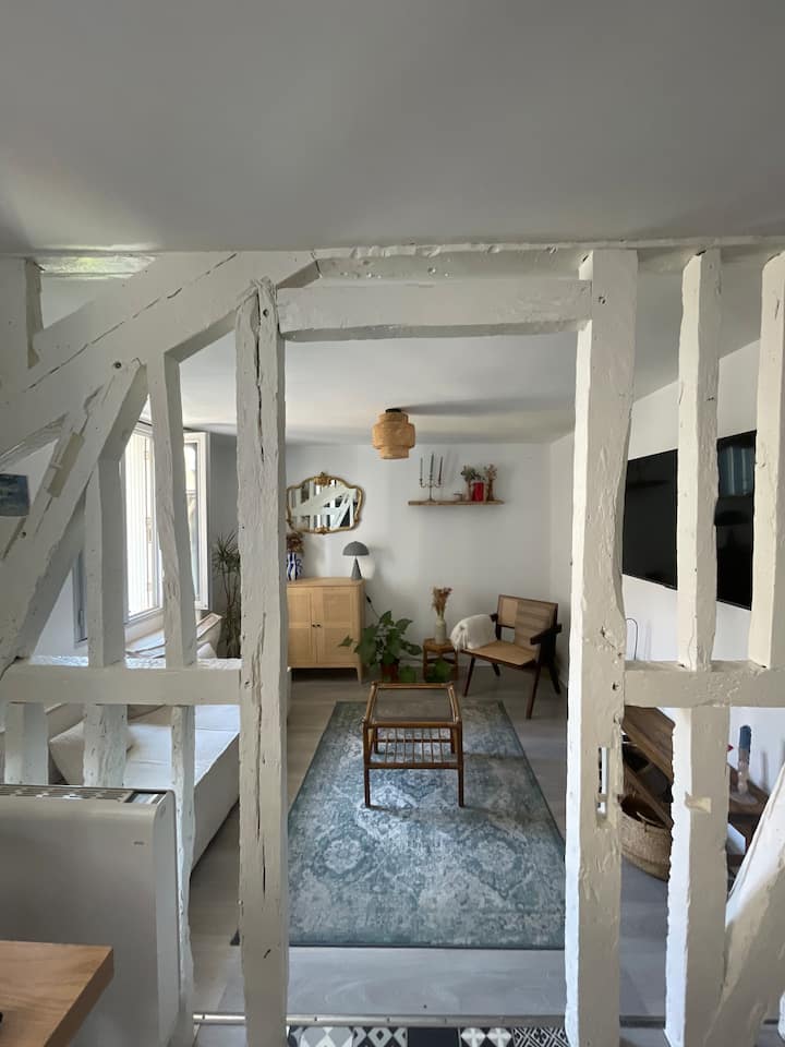 Appartement Hypercentre Proximité Du Parc Thabor - Rennes