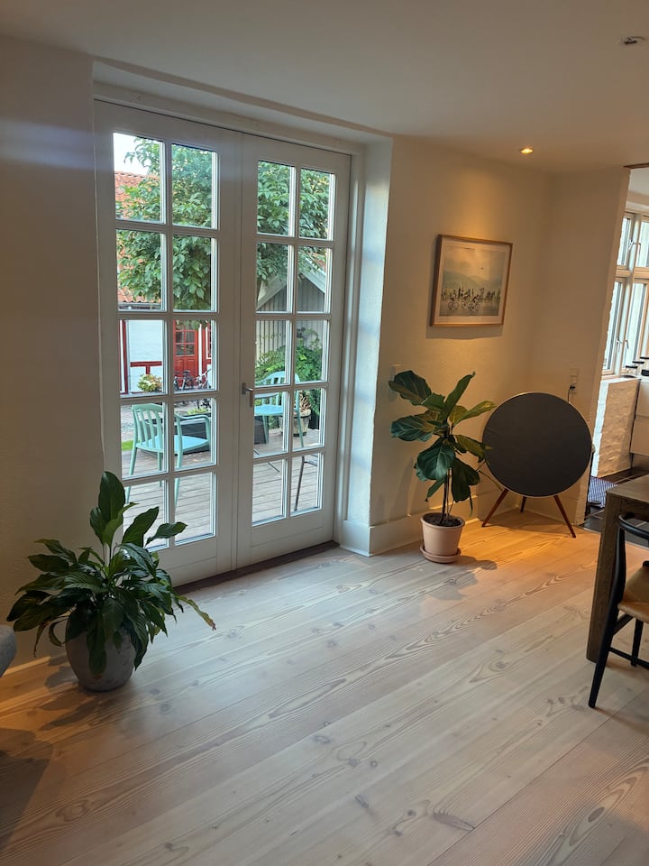 Lejlighed Meget Centralt Med Stor Terrasse Og Have - Odense