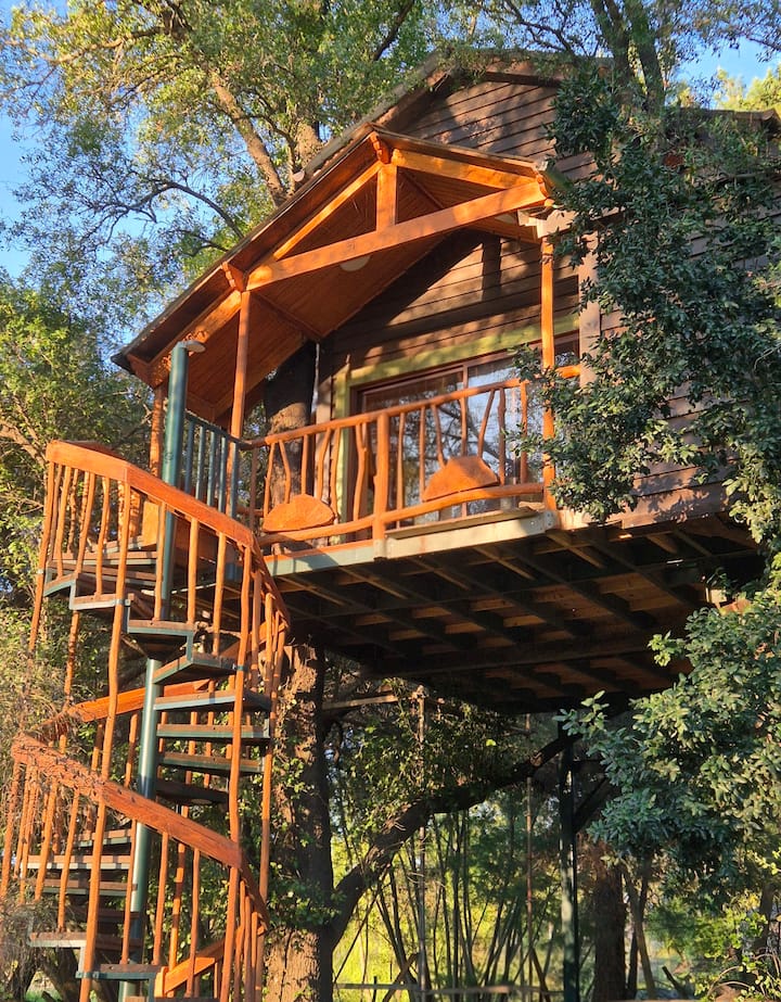 Casa Del áRbol Quillón - Quillón