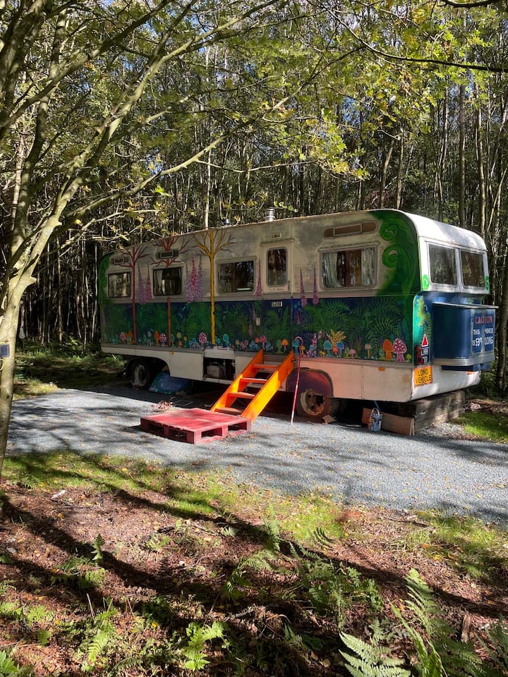 The Woodland Wagon - Settle