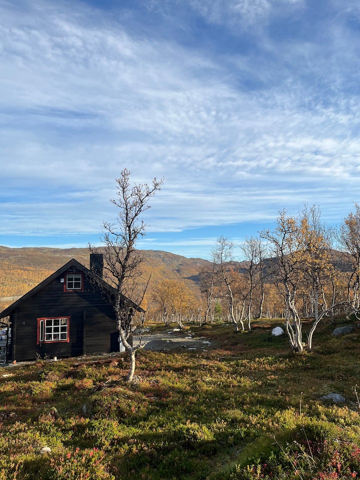 Koselig Tømmerhytte Med Grillstue. - Alta