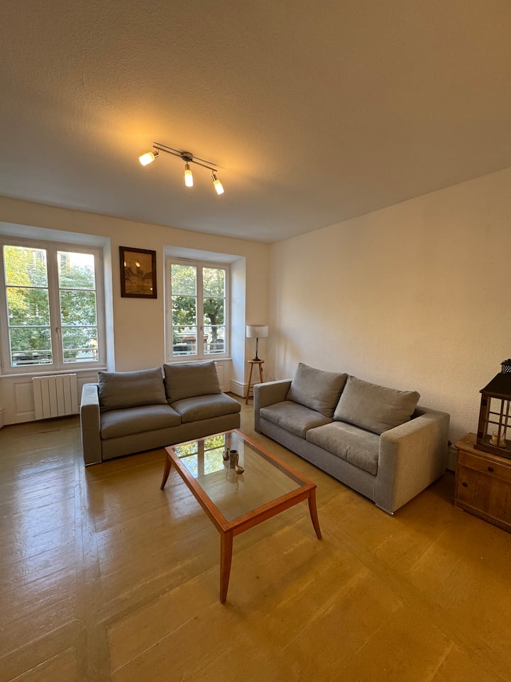 Hyper-centre, Charming, Fully Renovated 2 Bedrooms - Estrasburgo