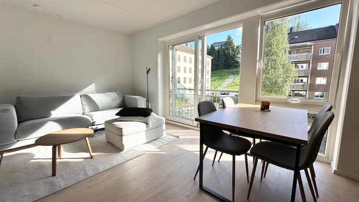 Meget Sentral 2-roms Leilighet I Trondheim - Trondheim