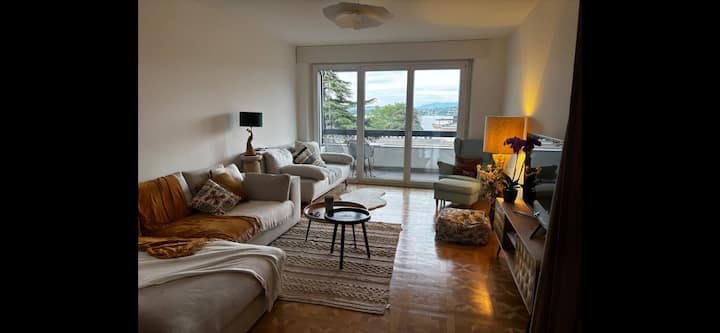 Bright Modern 4.5-room Apartment Near Lake Geneva - Genève