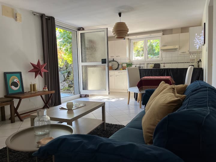 Appartement Proche Des Marchés De Noël - Lingolsheim