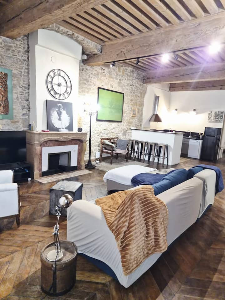 Appartement Splendide, Hyper Centre Vue Saône - Lione