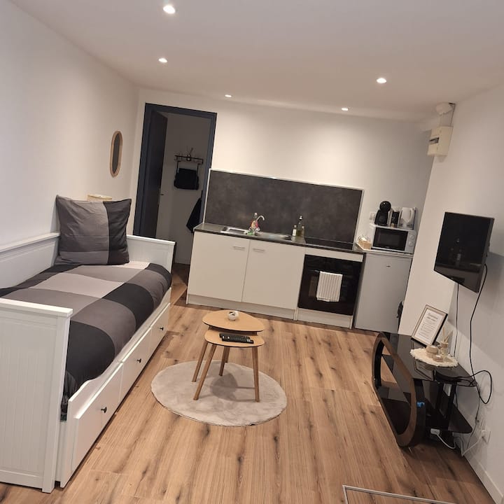Elégant Cocon En Plein Cœur De Rixheim - Rixheim