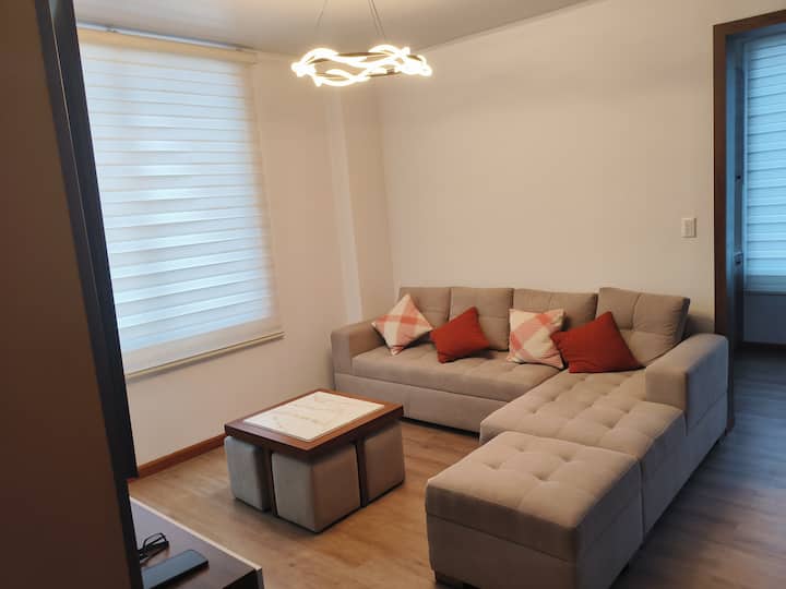 Smart Loft De Lujo Masajeador Y Baño Inteligente - Santo Domingo