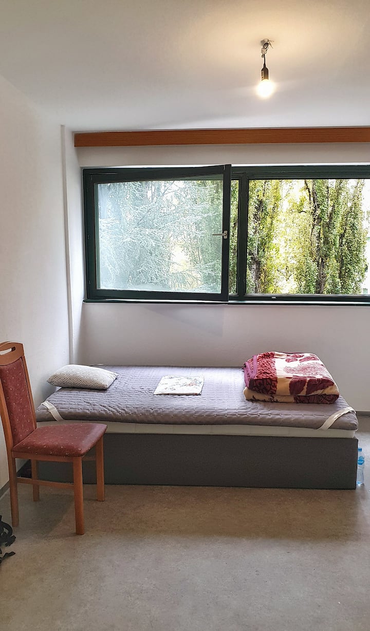 Room In Linz (Near Jku & City Center) - Linz