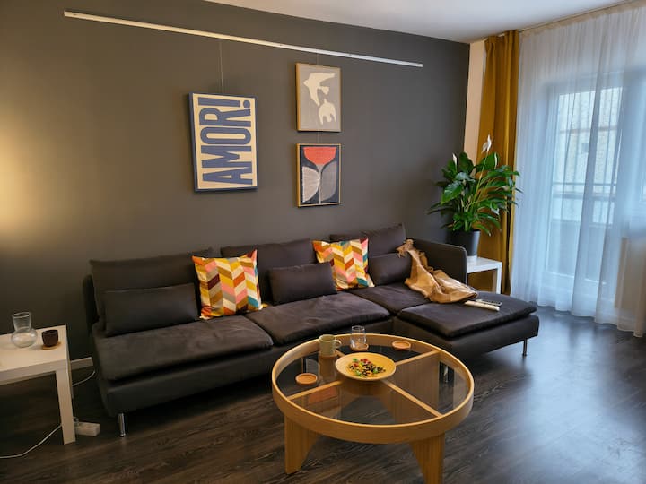 Spacious 2 Rooms Balcony. Student Grey Apartment - Timișoara